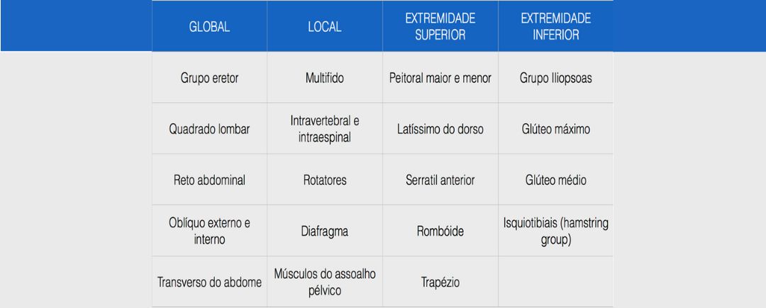 Fundamentos teóricos do treinamento do core - Revista Empresário ...